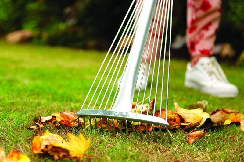 Balai à gazon extensible